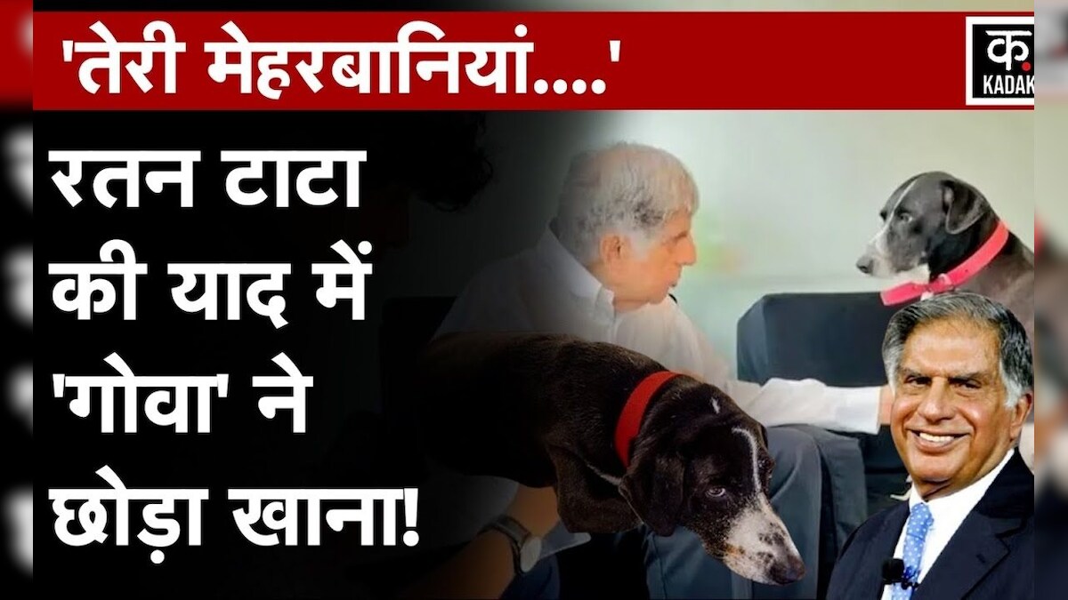 Ratan Tata Passes Away: रतन टाटा को उनके pet dog Goa ने भी दी ...
