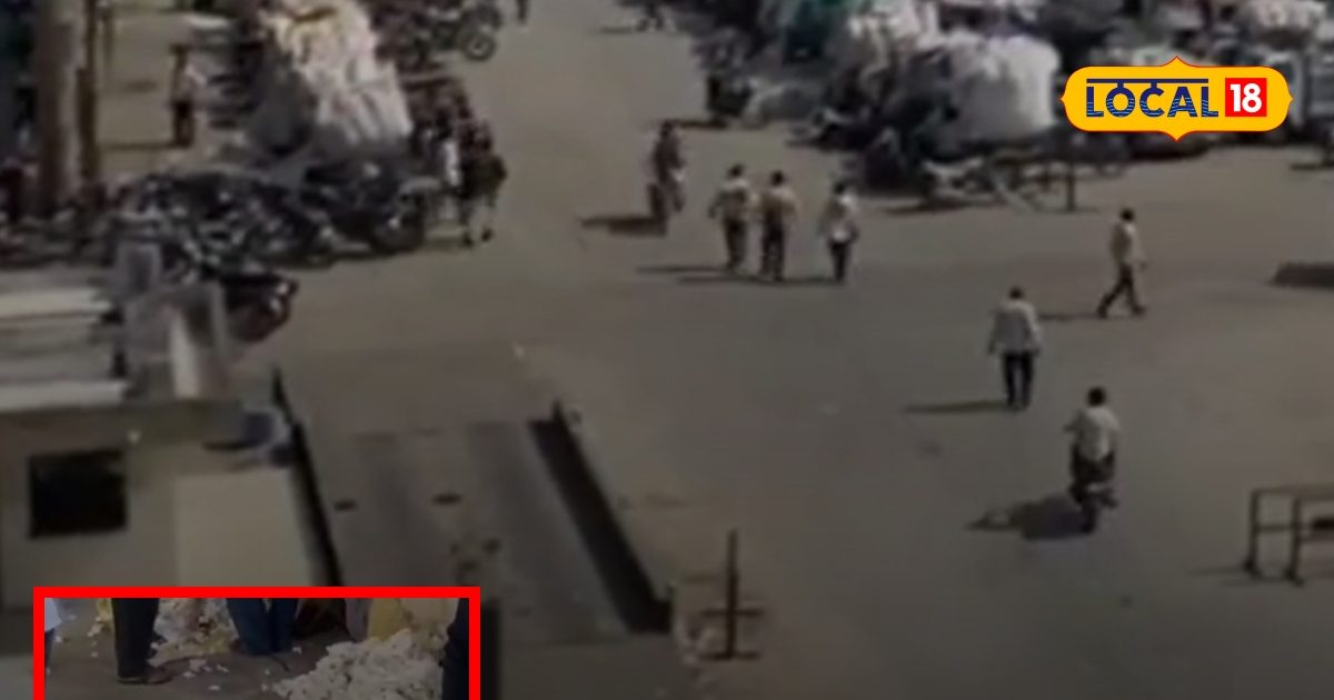 Record breaking income of cotton at Botad Haddad marketing yard SA ...