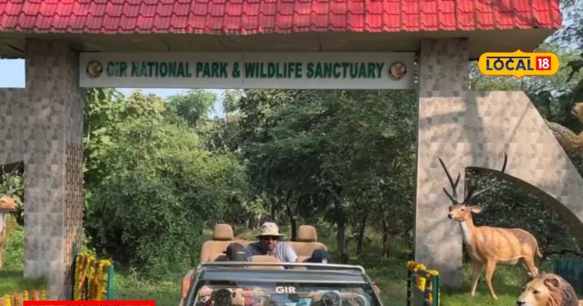 Gujarat Gir forest Safari parks like Girnar Devaliya Dhari ambardi ...