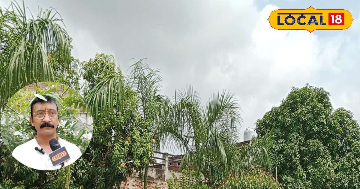 Pramod Sarraf developed love for environment at the age of 13 planted ...