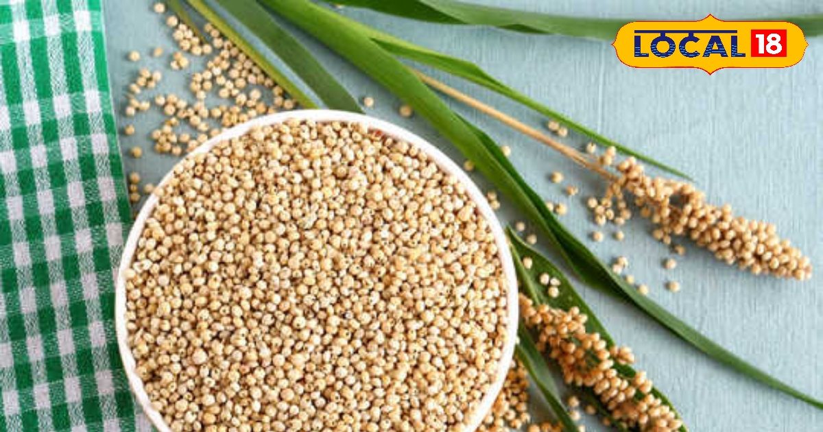 Know the Importance and method of sowing barley and sorghum - News18 हिंदी