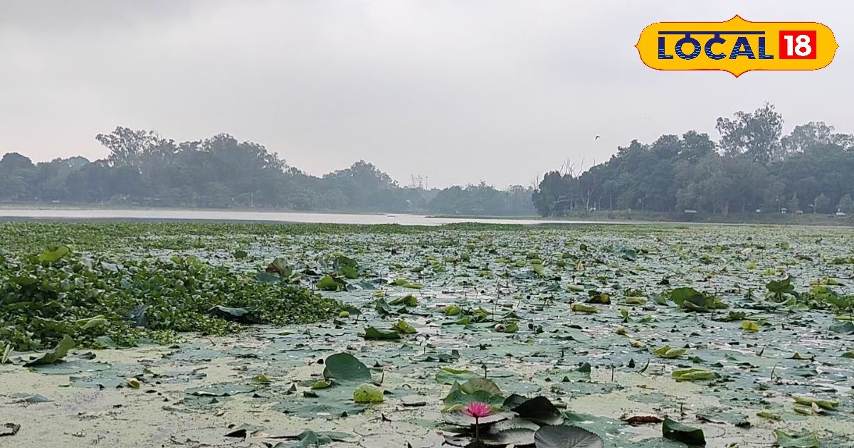 13 crore 97 lakhs came for the beautification of the lake, people said ...