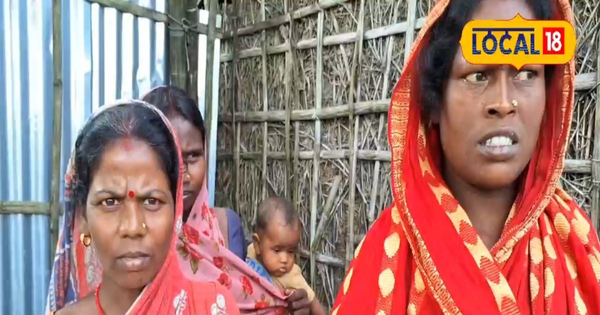 In Koshi Seemanchal area of Bihar, leeches that have come with the ...