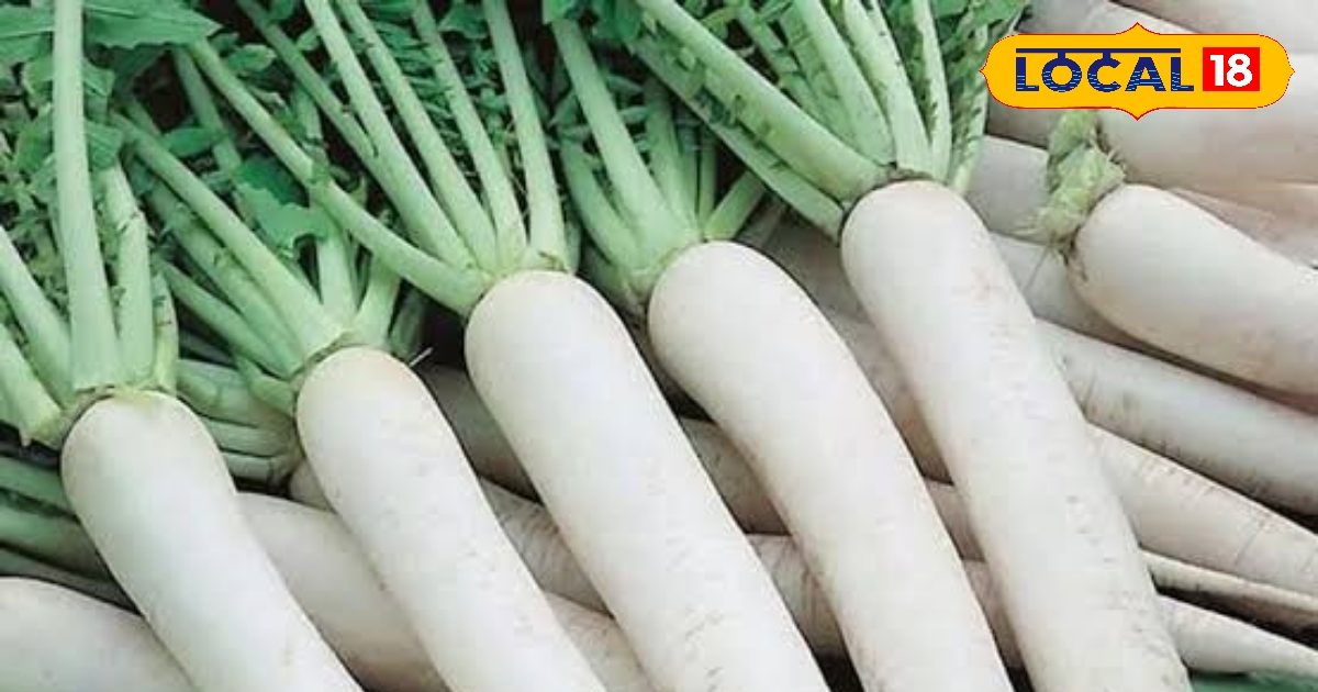 Cultivate this powerful variety of radish in October you will become a ...