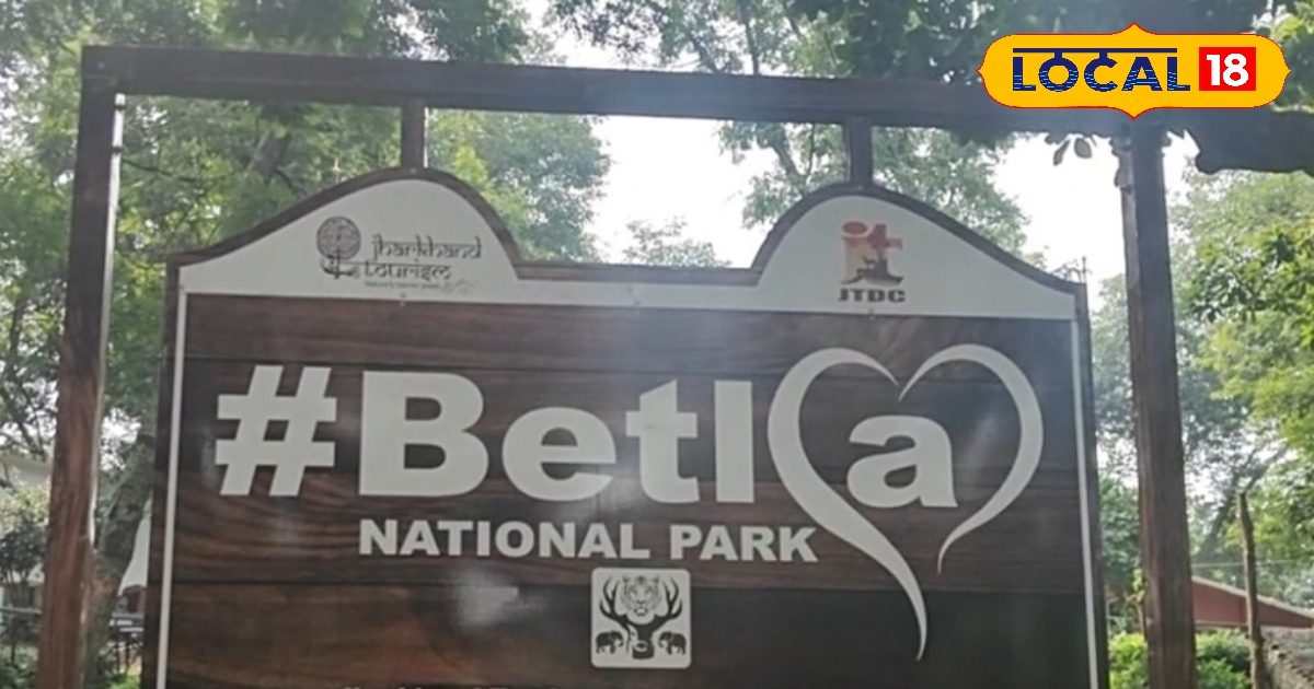 BETLA NATIONAL PARK