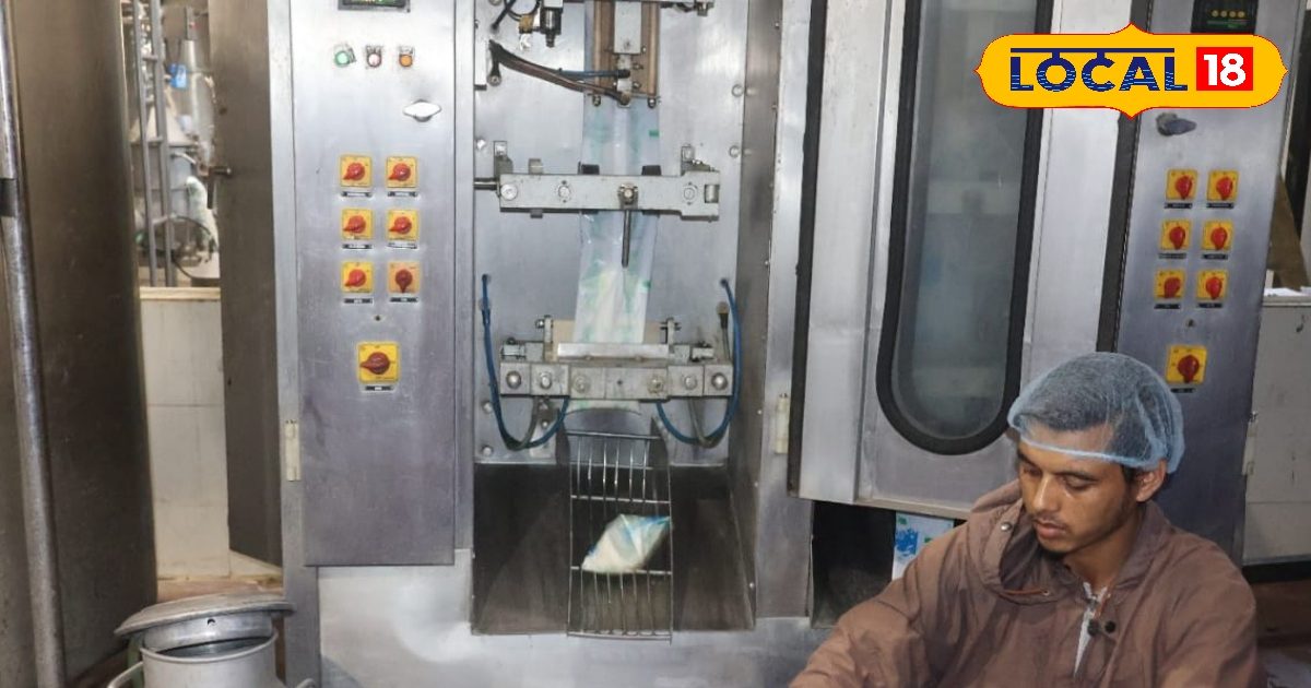 Chakkar Milk Plant of Mandi is taking care of the nutrition of infants ...