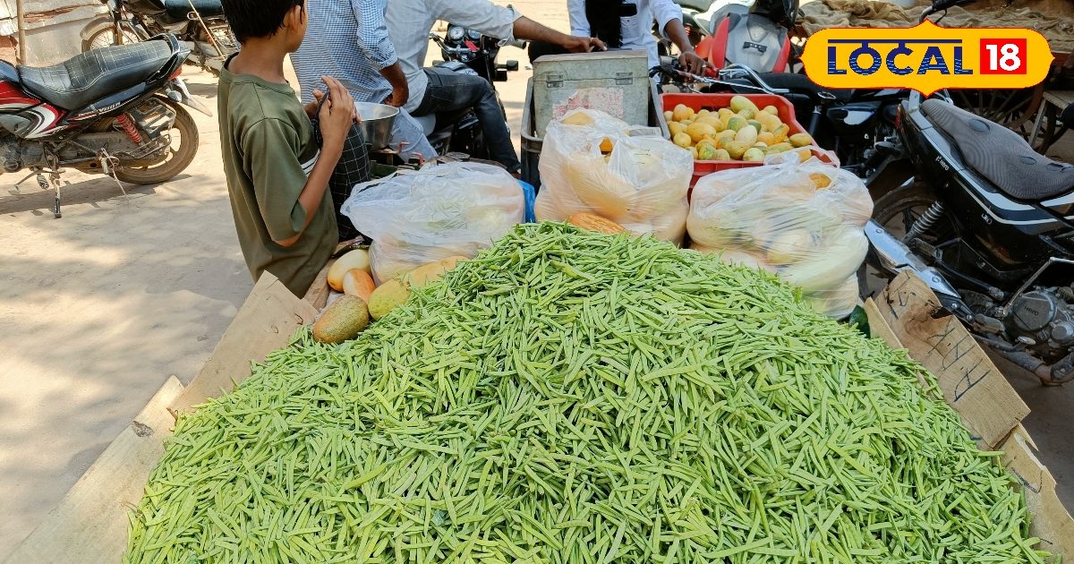 Kachhar's bloom in Jaisalmer: Used as vegetable, sour and now as fruit ...