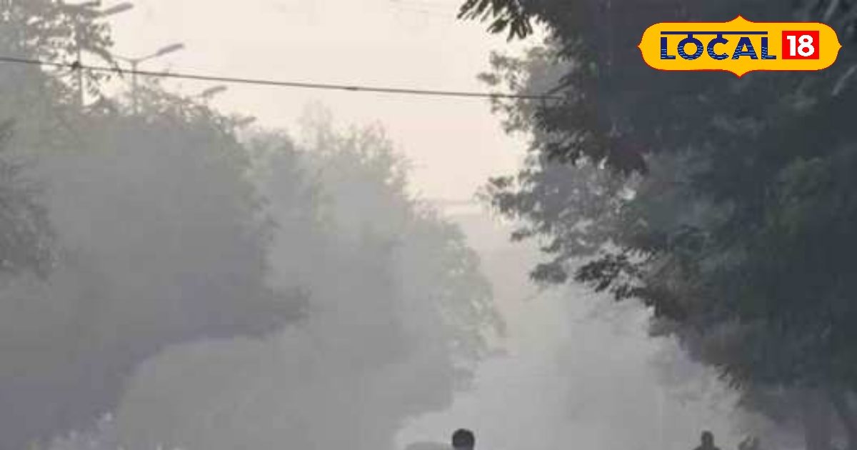 Jaipur Weather Update: IMD has issued yellow alert in these districts ...