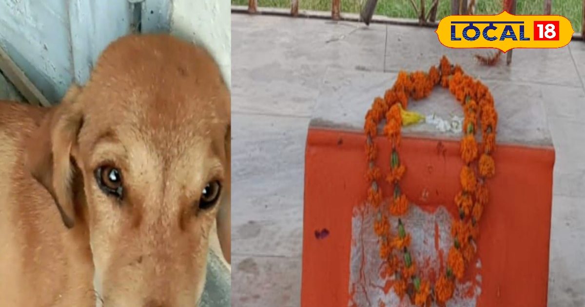 Dog Temple: यहां भगवान के रूप में कुत्ते की होती है पूजा, 200 साल पहले ...