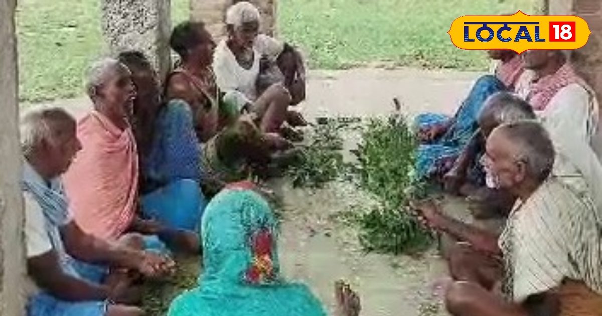 VIRAL VIDEO: Video of traditional method of removing snake venom from ...