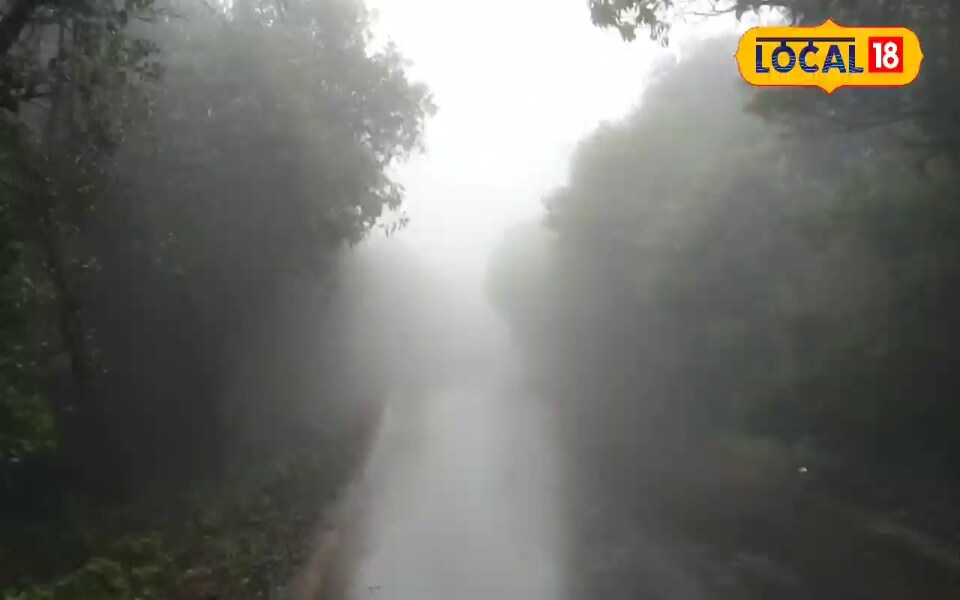 Jamui Weather Report: बारिश डालेगी खलल या खुला रहेगा आसमान? जानिए दिवाली पर मौसम का हाल