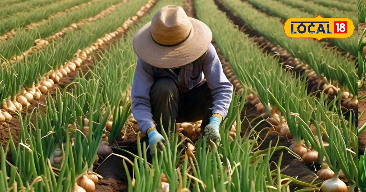 onion farming tips profit success story of Nilesh kasture sa - News18 हिंदी