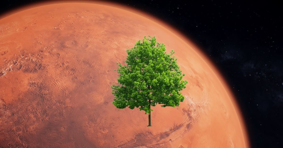 Explainer: मंगल ग्रह पर उगाया जाएगा पेड़, पर कैसे होगा ये कमाल, जानें ...