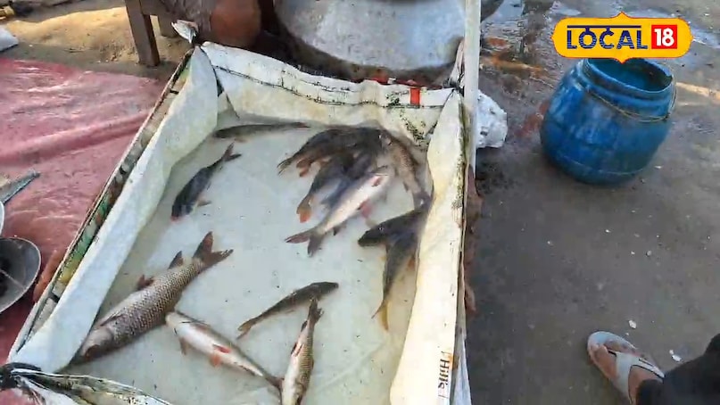 Fish Market: इस बाजार में मिलती हैं कई वैरायटी की मछली, कीमत भी कम, नोट ...