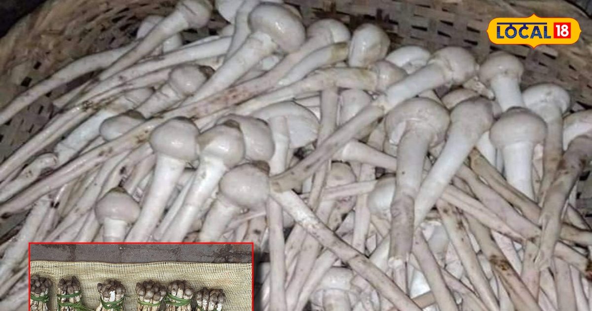 flower of earth more expensive vegetable india than chicken mutton fish ...