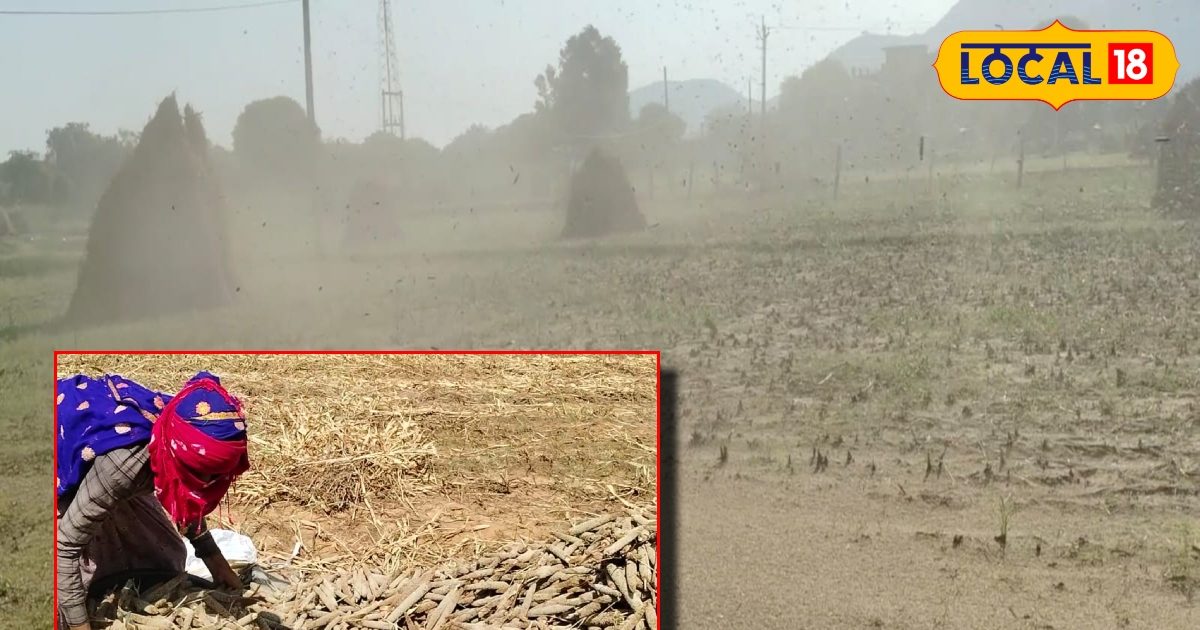 how to make organic fertilizer from millet pulp production will be ...