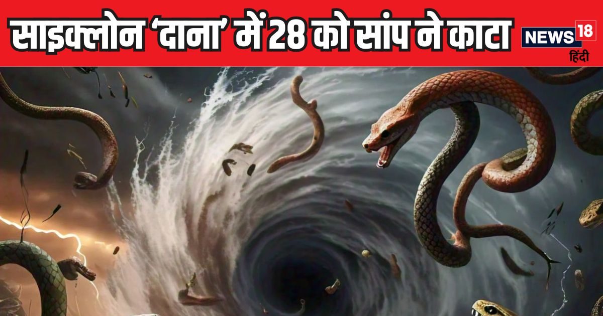 साइक्लोन 'दाना' में आ गए कहां से इतने सारे सांप, 28 लोगों को डसा, तूफान ...