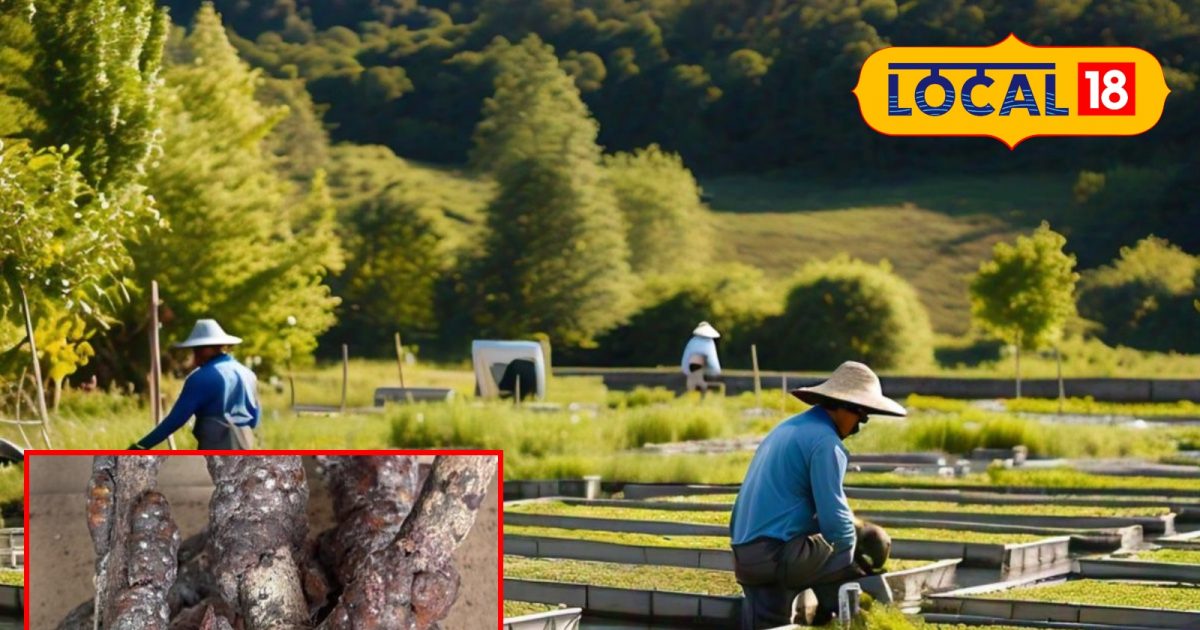 lac farming techniques and seasons to ensure better production sa ...