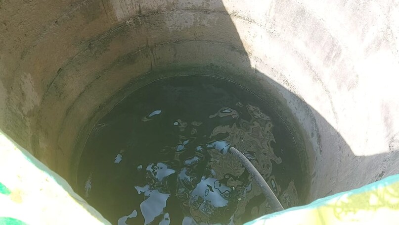 फल नहीं, इस पेड़ से निकलती हैं देवी माता की मूर्तियां, मंदिर के कुएं ...