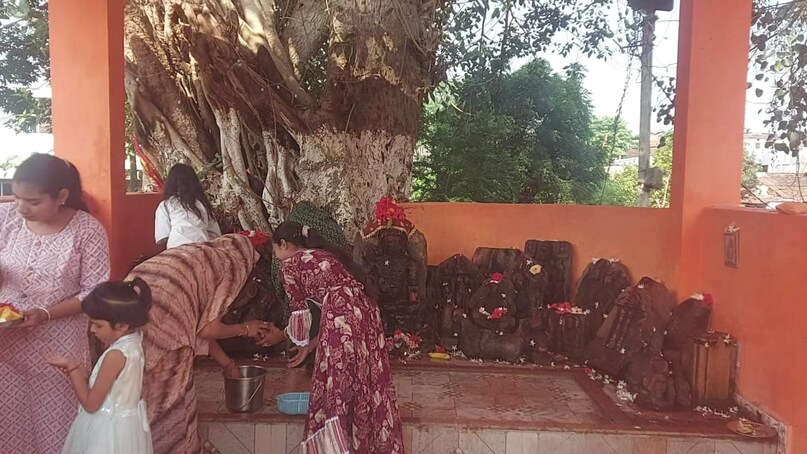 फल नहीं, इस पेड़ से निकलती हैं देवी माता की मूर्तियां, मंदिर के कुएं ...