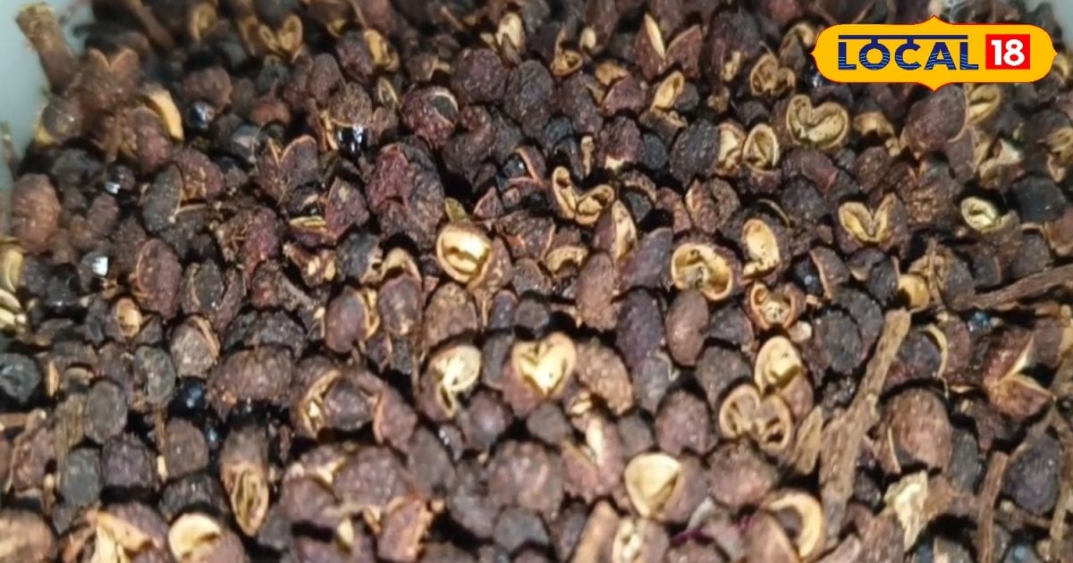 Beej Tomar Benefits: कमाल की औषधि! एंटीऑक्सीडेंट और एंटीफंगल गुणों से ...
