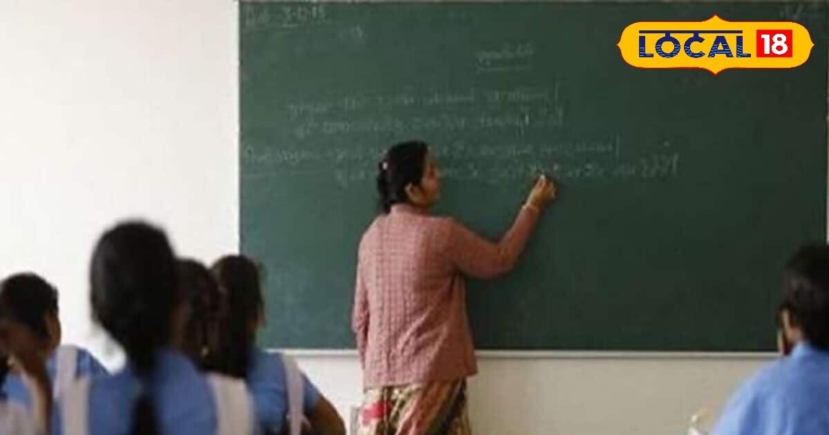 Bihar Teacher Job Dismissal Of Teacher Seven teachers sacked in Sitamarhi working on the basis ...