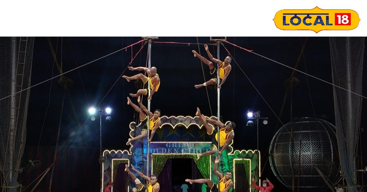 The reason for closure of only 12 circuses across the country is the ...