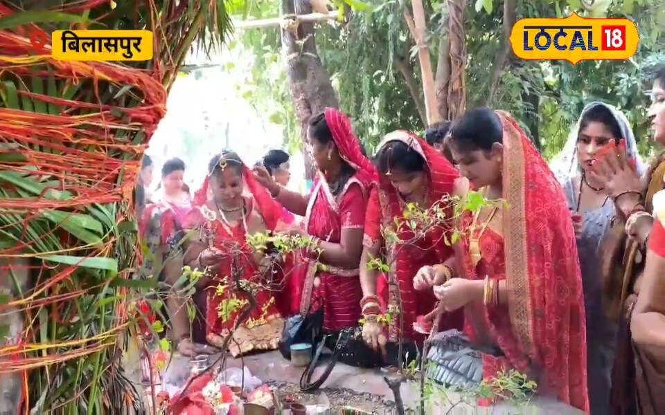 worship-aanwla-tree-on-auspicious-day-of-akshay-navami-be-bleesed-with ...