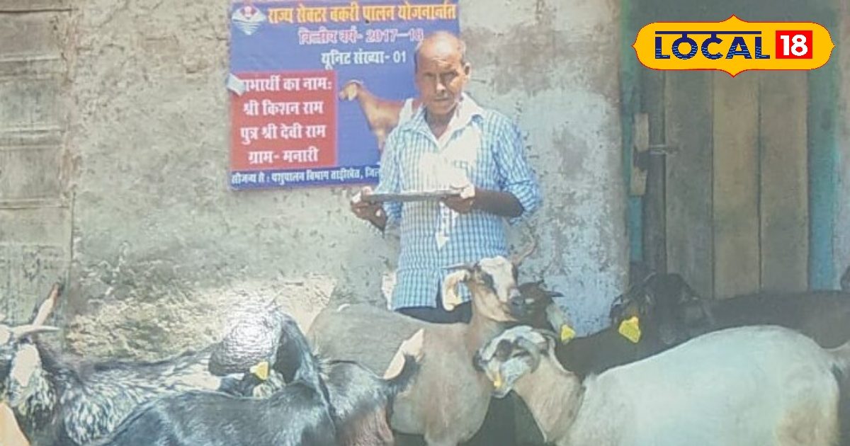 Almora News: पहाड़ों के लिए गोट वैली योजना, 10 बकरी और एक बकरा फ्री दे रहा विभाग