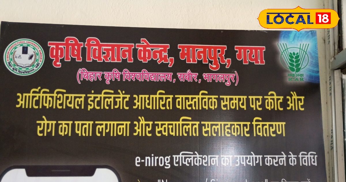 E-Nirog app for farmers Crop diseases will be detected through AI also ...