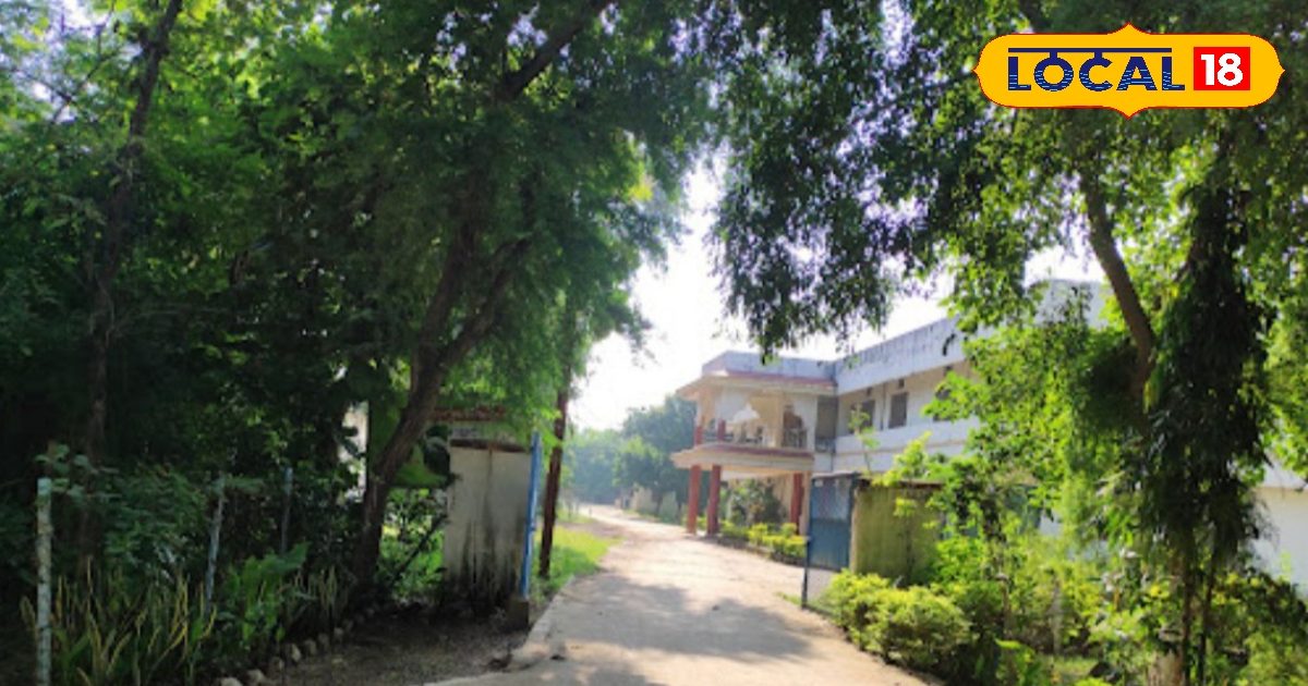 The picturesque view of Jayanti Kunj of Rewa is a treasure of peace ...