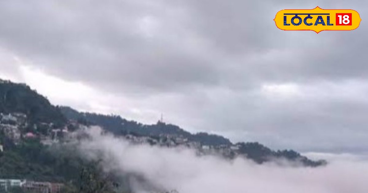 Uttarakhand Weather: उत्तराखंड में घने कोहरे का येलो अलर्ट, जानें आज ...