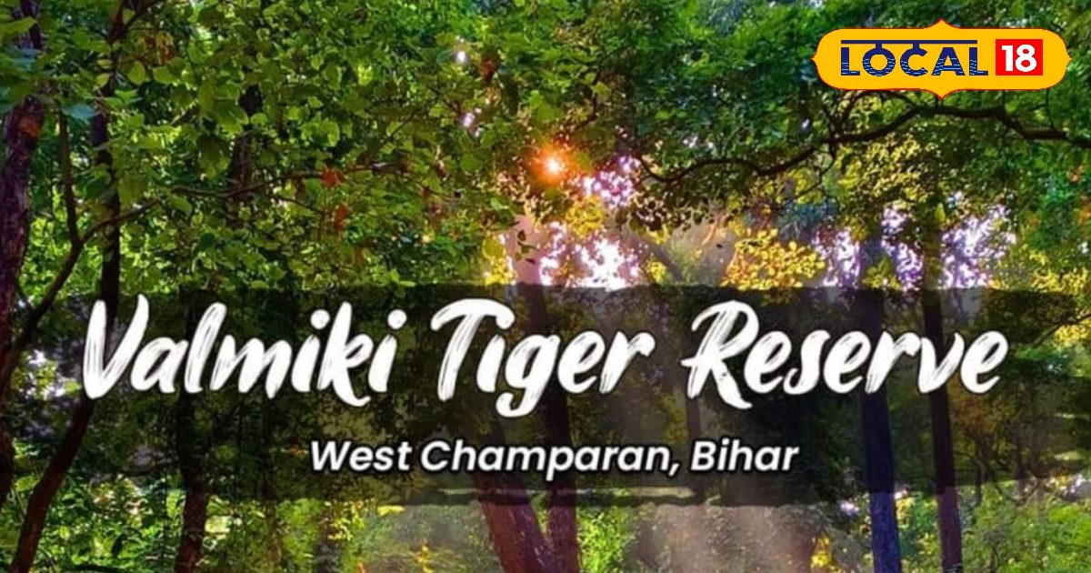 Valmiki Tiger Reserve Filled with unique views of nature divided into 9 ...