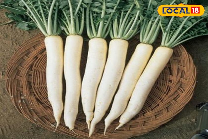 Mooli Health Benefits: पेट में गैस और एसिडिटी का बैंड बजा देती है ...