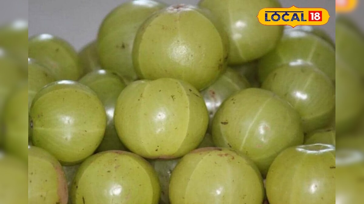 Amala Benefit: इम्यूनिटी, बाल और सेहत का सुपरफूड! जानें फायदे और ...