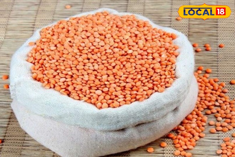 Masoor dal Farming: किसान मसूर की दाल बोने का जान लें सही समय, कम समय ...