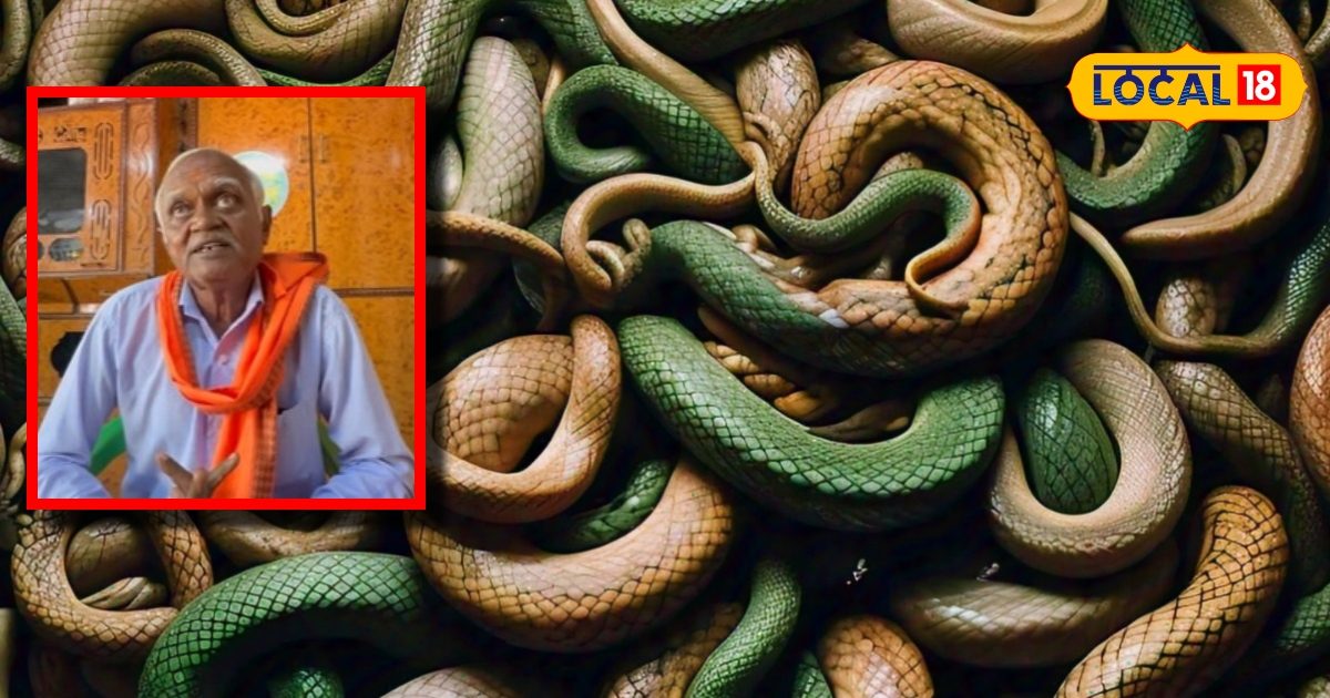 Kutch Snake rescuer Gaurigar Danagar Goswami saved more than 2000 ...