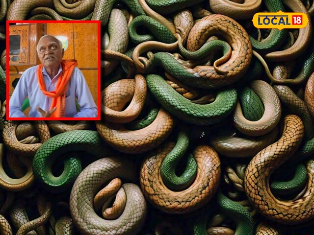 Kutch Snake rescuer Gaurigar Danagar Goswami saved more than 2000 snakes SA - News18 हिंदी