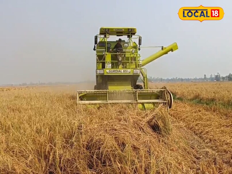 Last date of Farmer Registry Process Digital under Agri Stack scheme ...