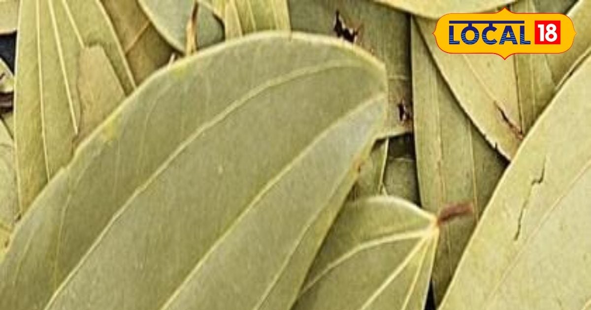 tej patta benefits bay leaves decoction for cold and cough treatment ...
