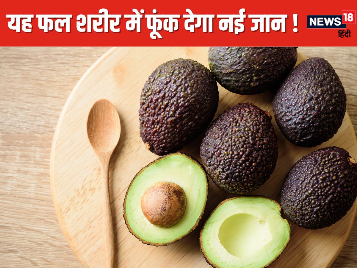 Avocado in hindi store