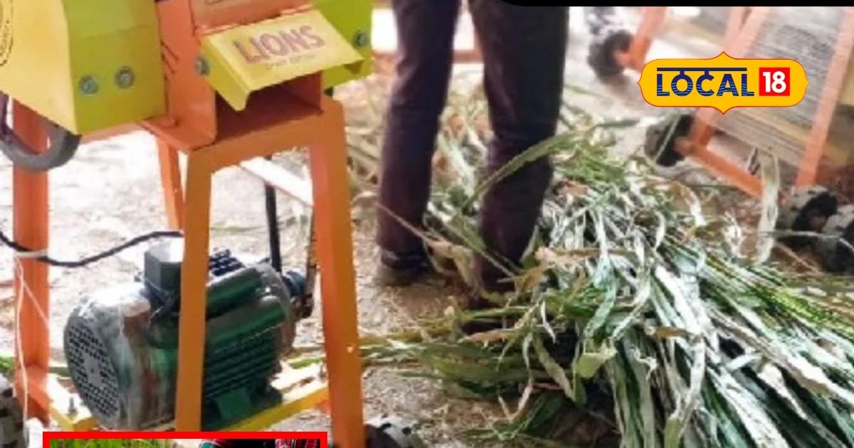 chaff cutter scheme benefits subsidy application dairy farming sa ...