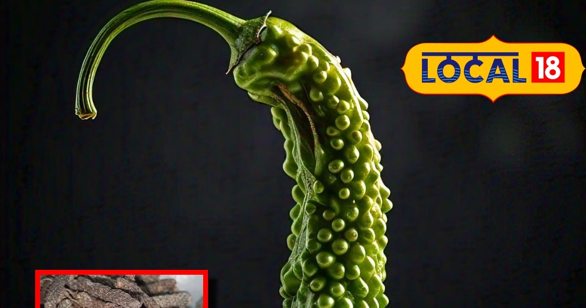 benefits of Long Pepper lady peepal for digestion teeth pain relief ...