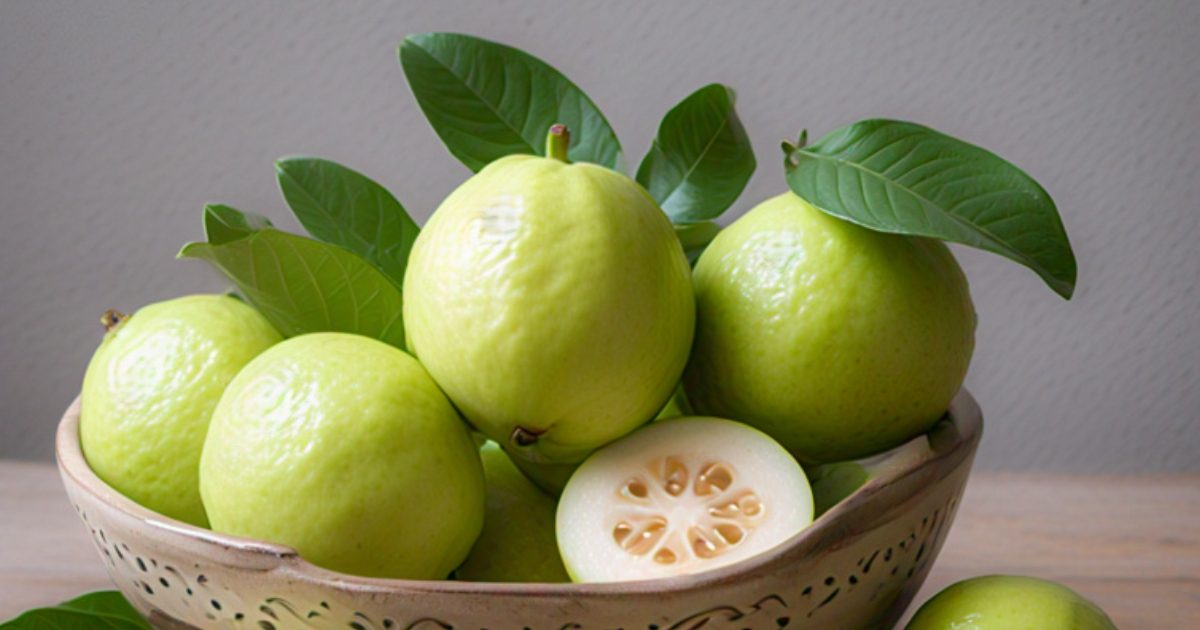 बिना रोग के हरा भरा रहेगा अमरूद का पेड़, डाली-डाली पर लद जाएगा फल, बस ...