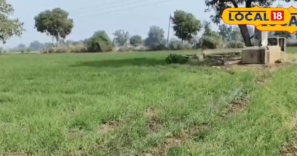 malgaon village moving from organic to chemical farming due to climate ...