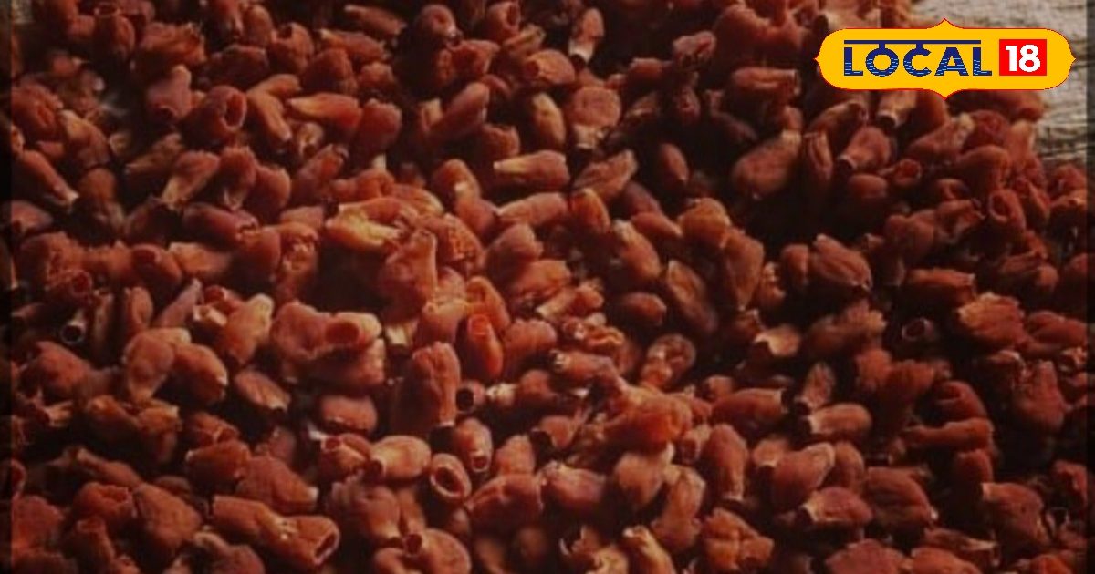 Benefits of Mahua This fruit is the lifesaver for people Diabetes ...