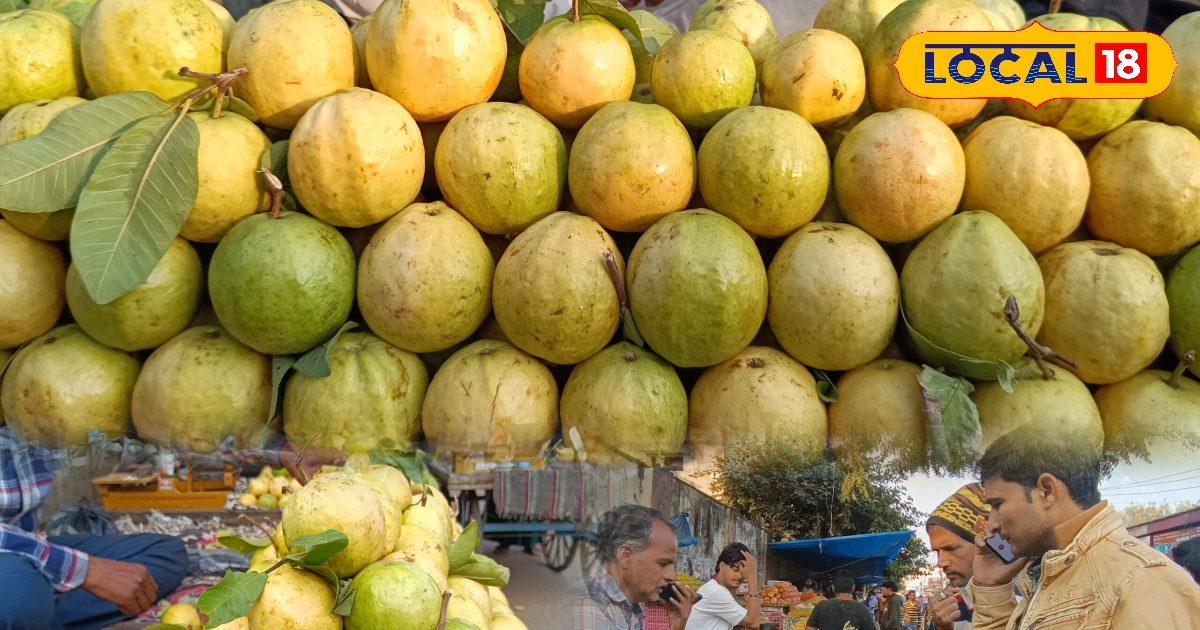 Special Guava: अपनी मिठास से धमाल मचा रहा सेब जैसा यह अमरूद, इसके ...