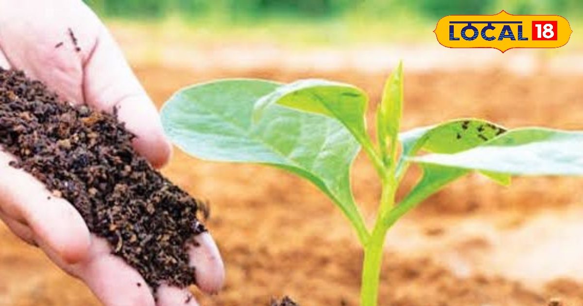 Eight day vermin compost training in rohtas training starts from ...