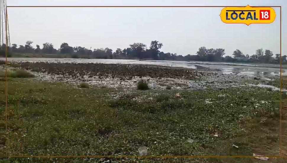 शहर की सुंदरता पर बट्टा, कौन सच्चा कौन झूठा? नगरपालिका का 78 घरों को ...
