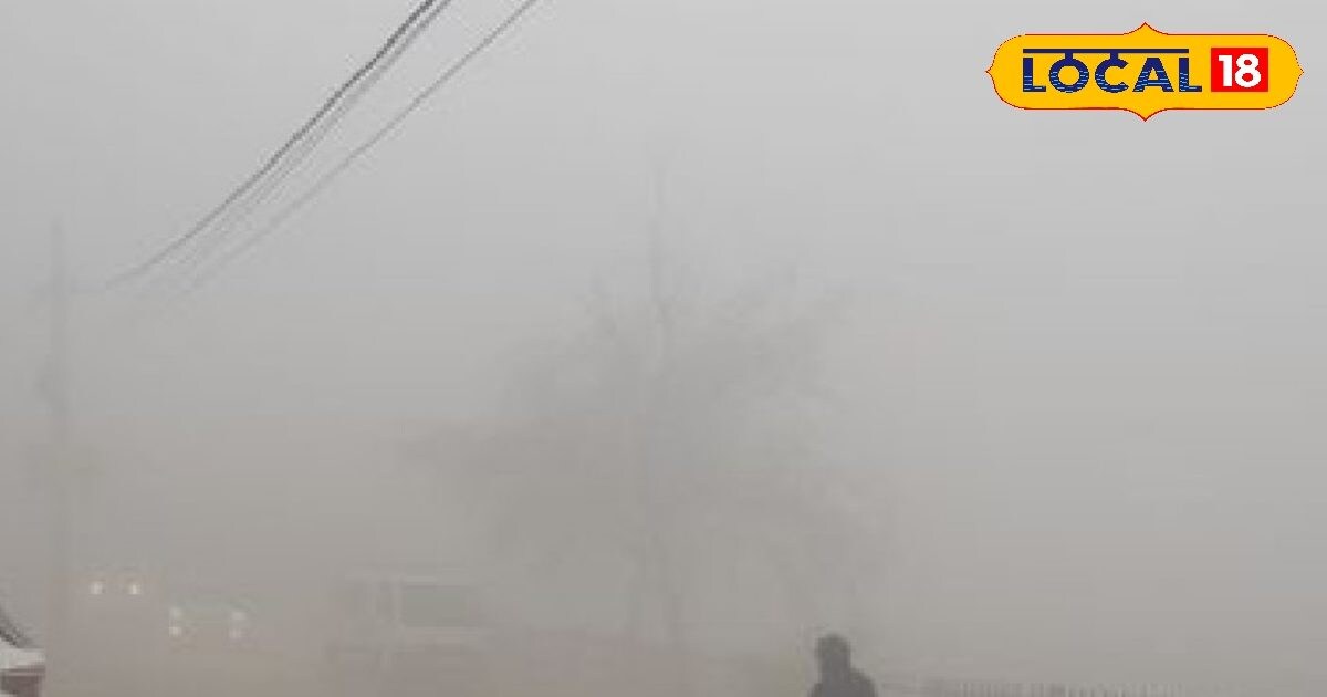 Jaipur Weather Update : राजस्थान में 4.5 डिग्री पहुंचा तापमान, इस साल ...